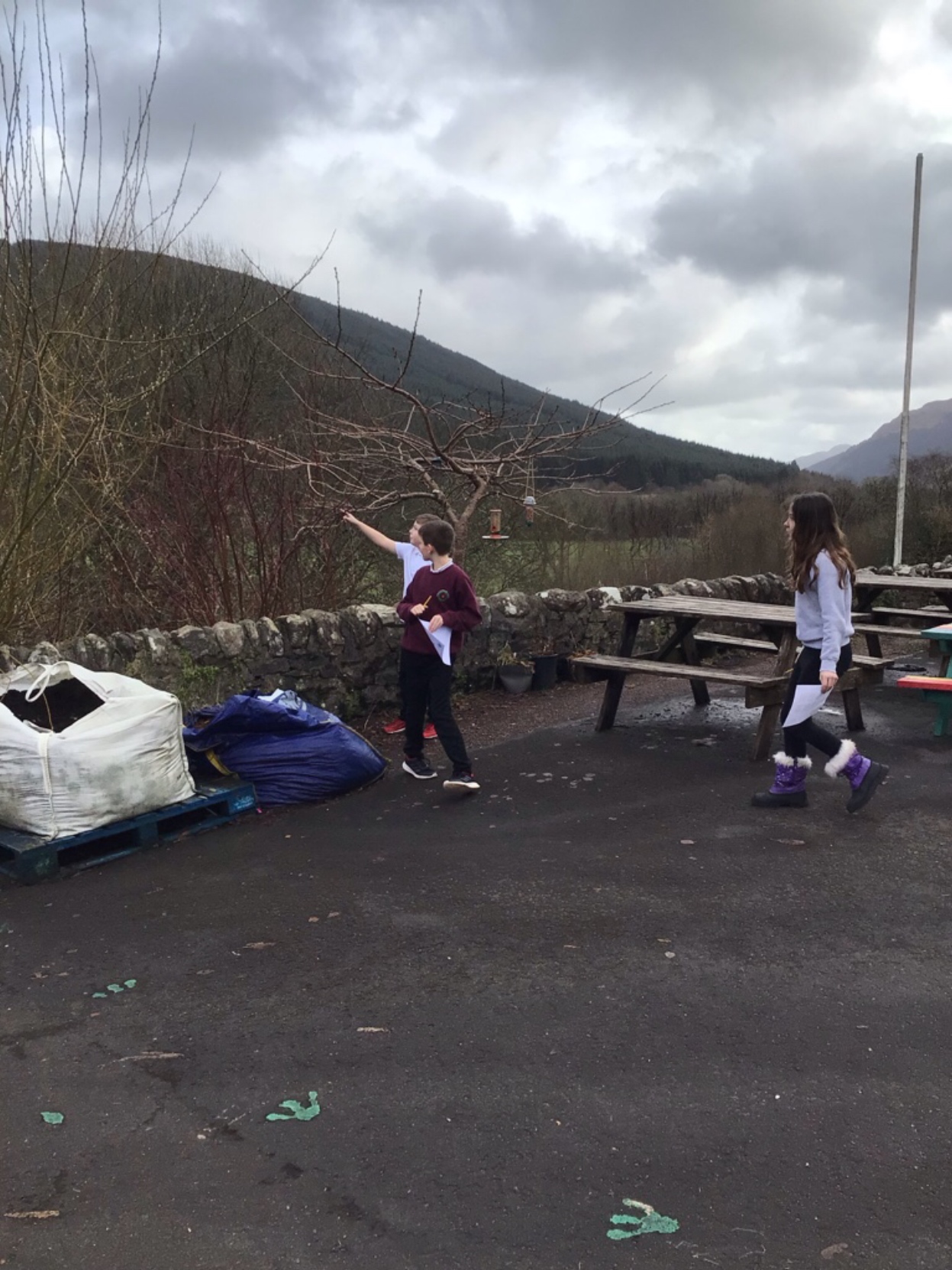 Test Gallery – Strachur Primary School