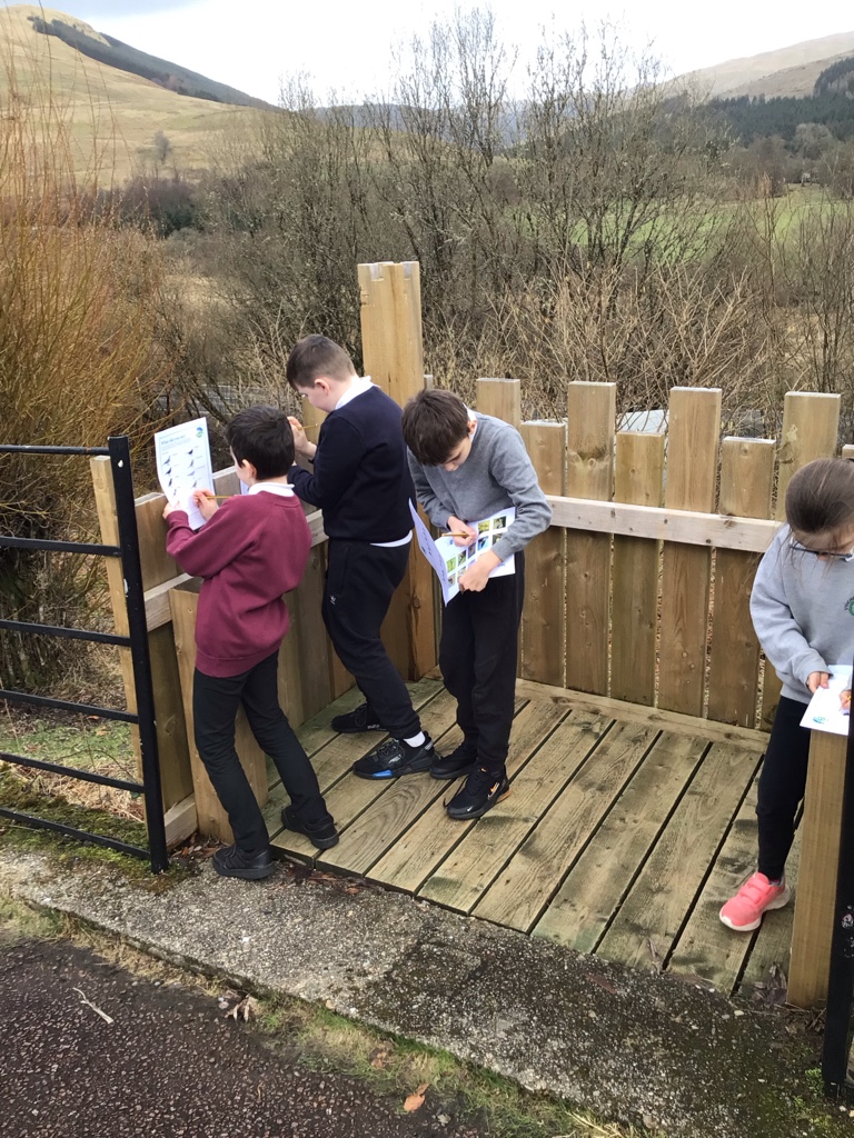 Test Gallery – Strachur Primary School